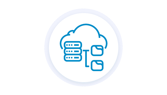 IT Advisory and Consulting